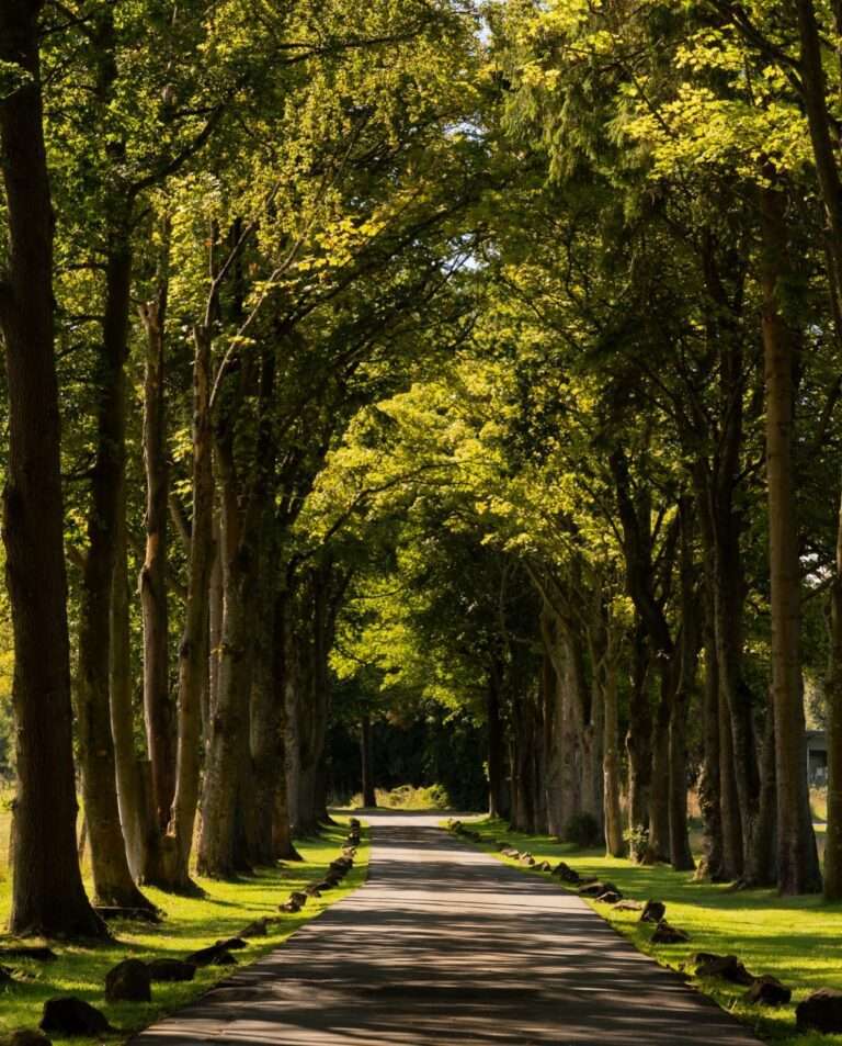 Gallery – Glenbervie House & Country Estate